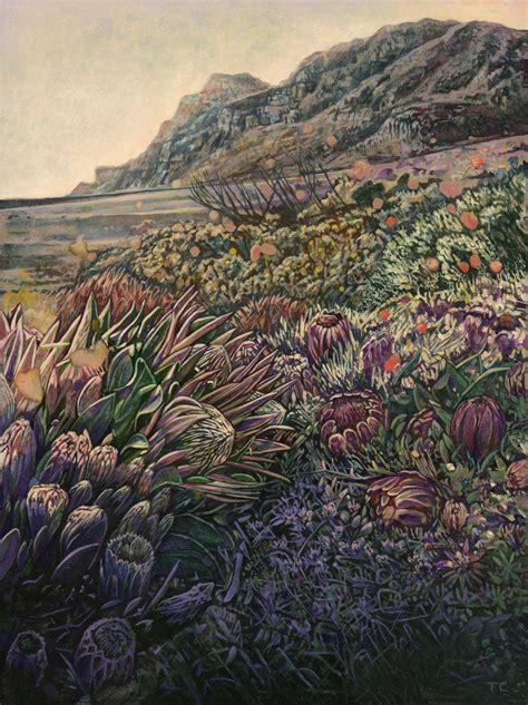 Thomas Catlin Collection Orms Print Room And Framing