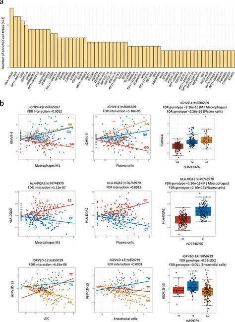 Associations Between Inflammation Dependent Cis Eqtls And Cell Type Download Scientific Diagram