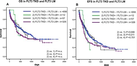 Prognostic Correlations Of Two Different Types Of Flt3 Mutations Download Scientific Diagram