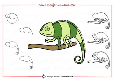 Aprender A Dibujar Paso A Paso Un Camaleón Pdf