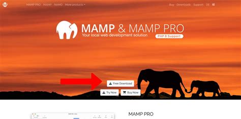 install wordpress on mac using mamp codeless