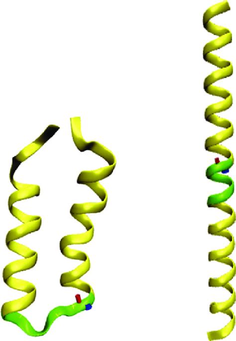 The Native Structure Of Protein Pdb2hep [4] As Obtained From The Pdb Download Scientific