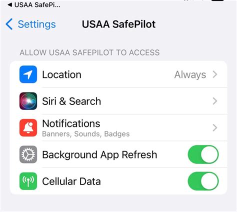 Safe Pilot App Not Showing Motion Data Rusaa