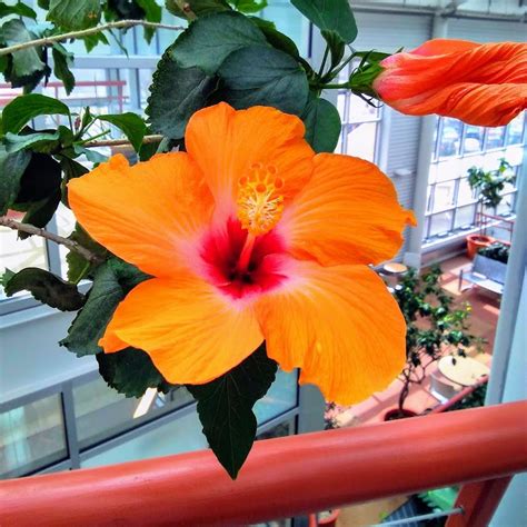 Grace Brauburger Youtube