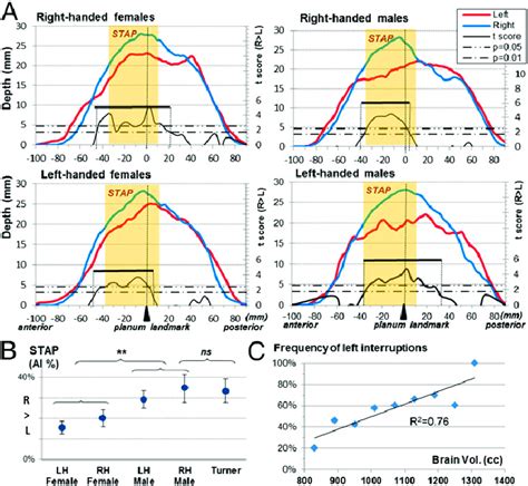 The STAP In Relation To Sex And Handedness In Adults A Left Red Download Scientific Diagram