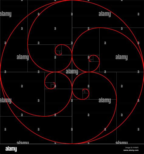 Fibonacci Spiral Stock Vector Images Alamy