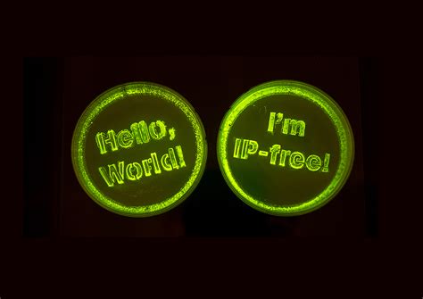 Crispr And Ip Free Gene Editing Cambridge Consultants