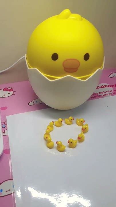 🐥 병아리 소풍🐣 귀여운 영상 Youtube