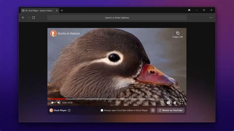 A máxima privacidade ao navegar na Internet O browser do DuckDuckGo chegou ao Windows