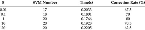 Effect Of Penalty Function G On Svm Bi Classifier Accuracy