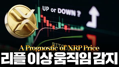 리플 이상 움직임 감지 Youtube