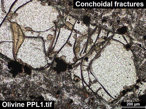 Olivine Conchoidal Fractures Photo By Ian Graham Rock Talehour Flickr