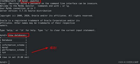 Mysql安装指南 Csdn博客