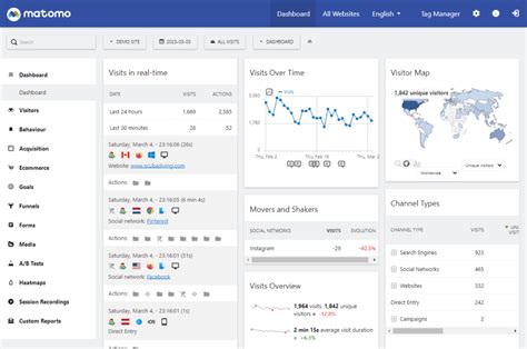 Simplify Your Business Technology With Matomo Consulting And Development Services