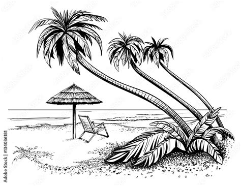 Ocean Or Sea Beach With Palms Sketch Black And White Vector