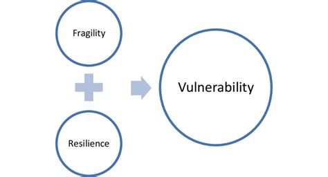 Components Of Socio Economic Vulnerability Download Scientific Diagram