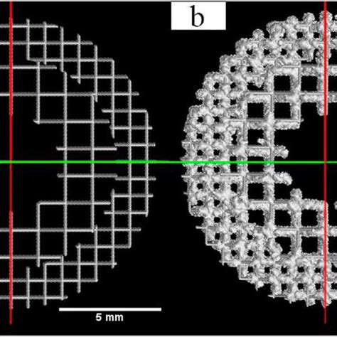 Comparative View A Model Of The Functionally Graded Scaffold B Download Scientific