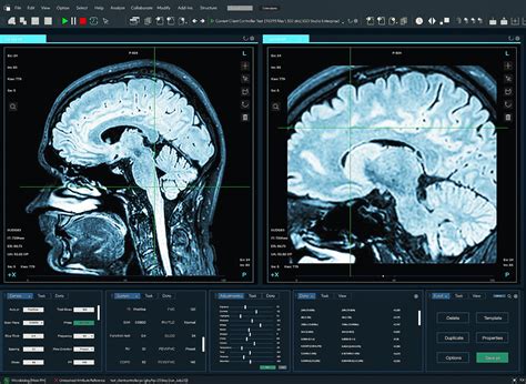 Very Specific Ages Identified When Our Brains Lose Cognitive Control