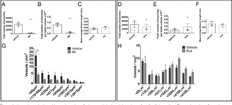 Figure 4 From Sertoli Cells Modulate Testicular Vascular Network