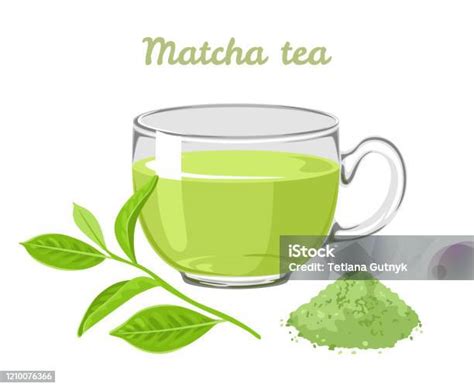 흰색 배경에 고립 된 유리 컵에 말차 차 녹차 잎 분말 및 향기로운 음료의 벡터 일러스트레이션을 만화 플랫 스타일 녹차에 대한