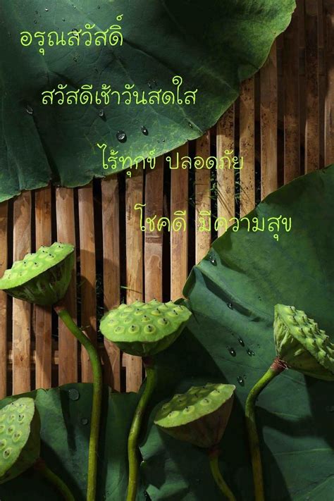 ปักพินโดย ออกเล ใน วันพุธ อรุณสวัสดิ์ ดอกไม้สีม่วง สวัสดีตอนเช้า