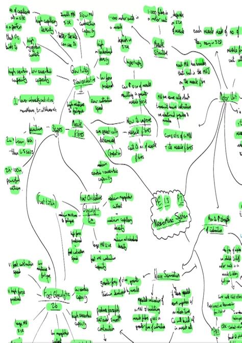 Summary Aqa A Level Pe Book 1 Neuromuscular System Neuromuscular System Stuvia Uk