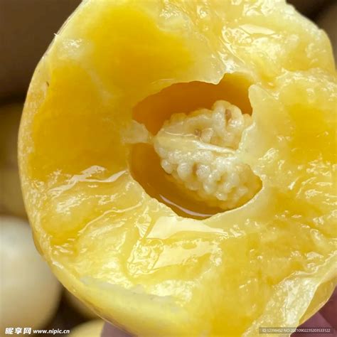 人参果摄影图水果生物世界摄影图库昵图网