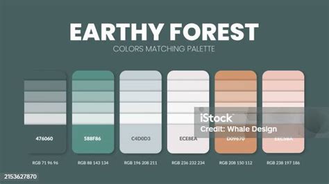 Earthy 색상 테마 컬렉션의 색상 팔레트 가이드 색상 영감 또는 코드 템플릿이 있는 차트 색상 조합 Rgb 그래픽 디자인 예술 패션 또는 페인팅을 위한 색상 견본 벡터