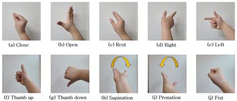 Emg Based Dynamic Hand Gesture Recognition Using Edge Ai For Humanrobot Interaction