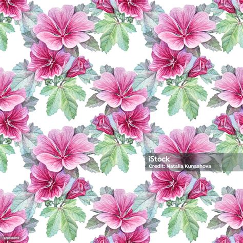 흰색 배경에 Malva와 함께 수채화 완벽 한 패턴입니다 결혼 축하 카드에 대 한 녹색 잎과 함께 봄 분홍색 꽃 벽지 또는 스케치북 색칠 공부를 포장하기위한 식물 여름 예술