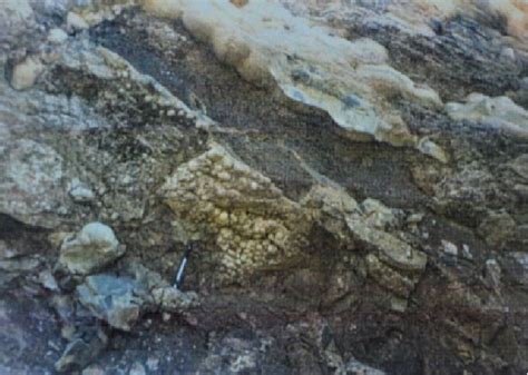 A Basal Unit Of Acidic Tuff Resting Over Basaltic Agglomerate Download Scientific Diagram