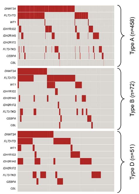 Molecular Subtypes Of Npm1 Mutations Have Different Clinical Profiles Specific Patterns Of