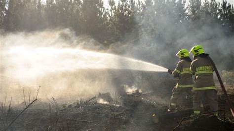 Qué Son Los Incendios Zombi Qué Otros Tipos De Fuegos Hay Y Cuál