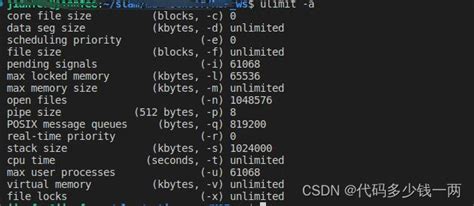 程序执行到一半报错“`malloc Mismatching Next ＞prevsize Unsorted`”死掉malloc Mismatching Csdn博客