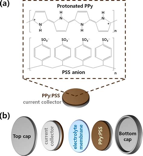 Schematic Illustrations Of A A Polypyrrolepoly4 Styrenesulfonate