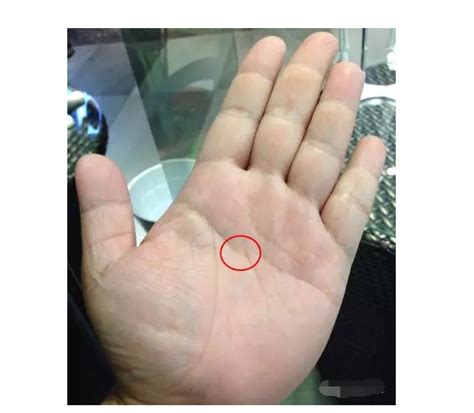 智慧线中断又另起一条 命运线 断了 大山谷图库