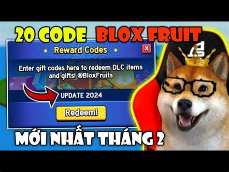 Reset Chỉ Số Blox Fruit Mới Nhất Hướng Dẫn Chi Tiết Mã Code Đặc Biệt