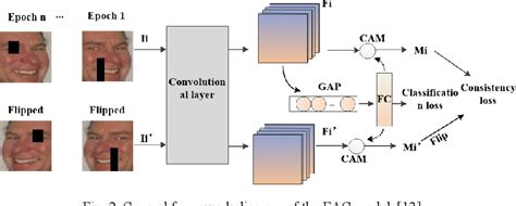 Figure 1 From Facial Expression Recognition Method Based On Dual Branch Fusion Network With