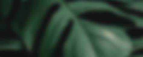 Студия красоты Beauty Lav Всем привет﫶 Мы с девочками создали группу где можно следить за