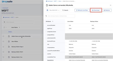 Setting Up Entra Backup Dropsuite