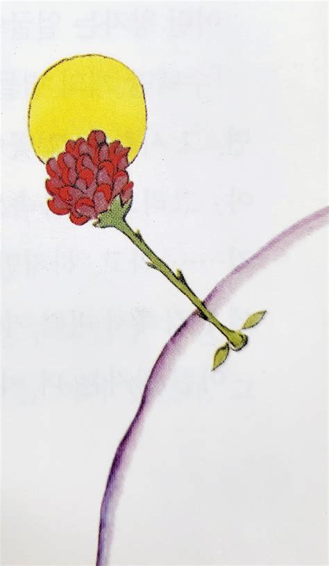 장미꽃과 어린 왕자