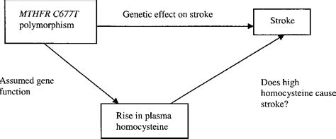 Figure 1 From Limits To Causal Inference Based On Mendelian Randomization A Comparison With