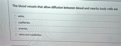 The Blood Vessels That Allow Diffusion Between Blood And Nearby Body