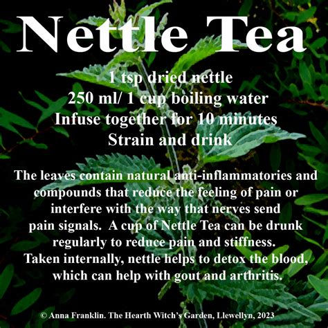 Nettle Tea Hearth Witchery