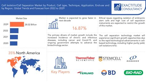 Cell Isolationcell Separation Market Growth And Forecasts 2029
