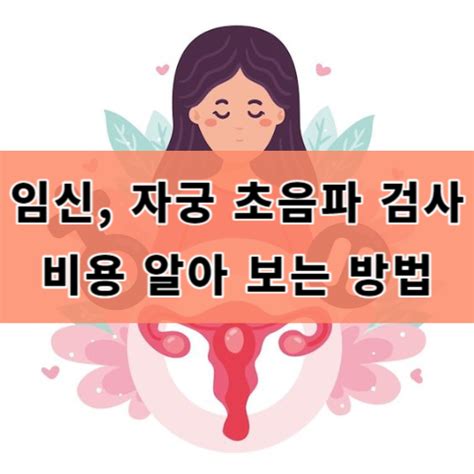 산부인과 임신 자궁 초음파 검사 비용 알아 보는 방법 네이버 블로그