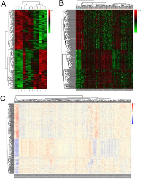 heatmaps of degs in different datasets a heatmap of differentially