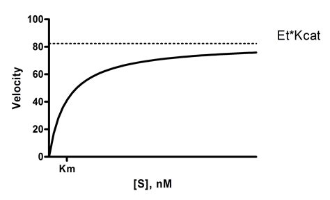 Graphpad Prism 8 Curve Fitting Guide Equation Determine Kcat