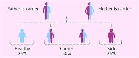 Testing For Hereditary Diseases Genetic Compatibility Test Gct