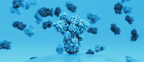 Protein Expression Analysis Avance Biosciences